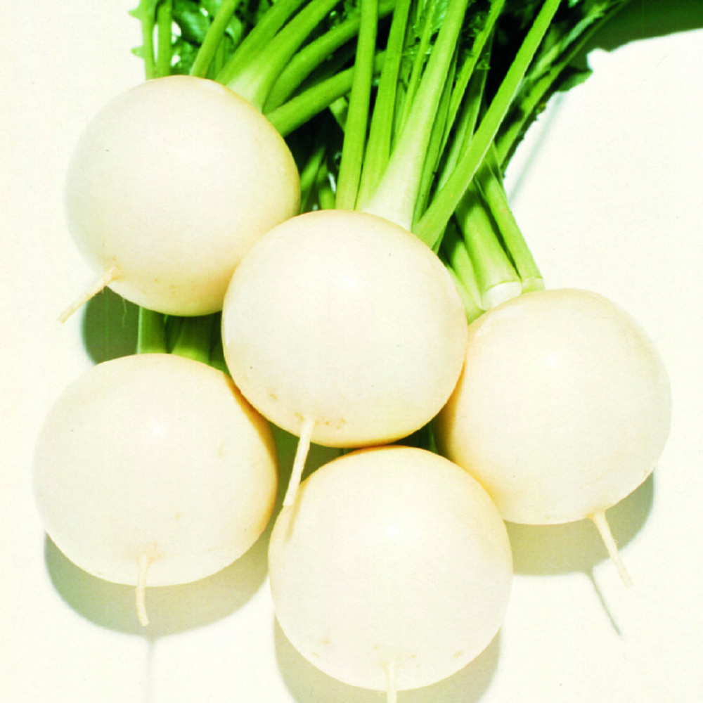 SW Horto produktsida