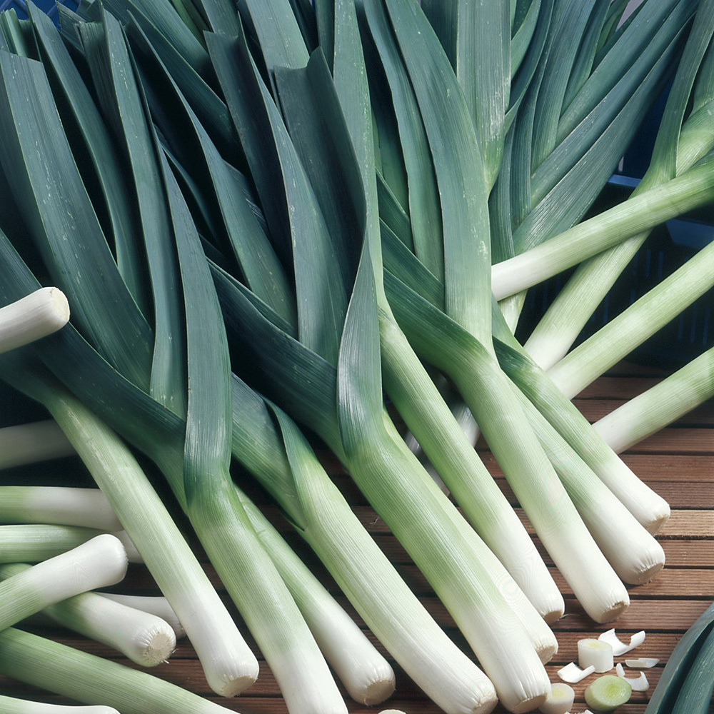 SW Horto produktsida